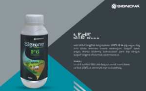 Home - Signova Group - Best Micronutrients Company In India