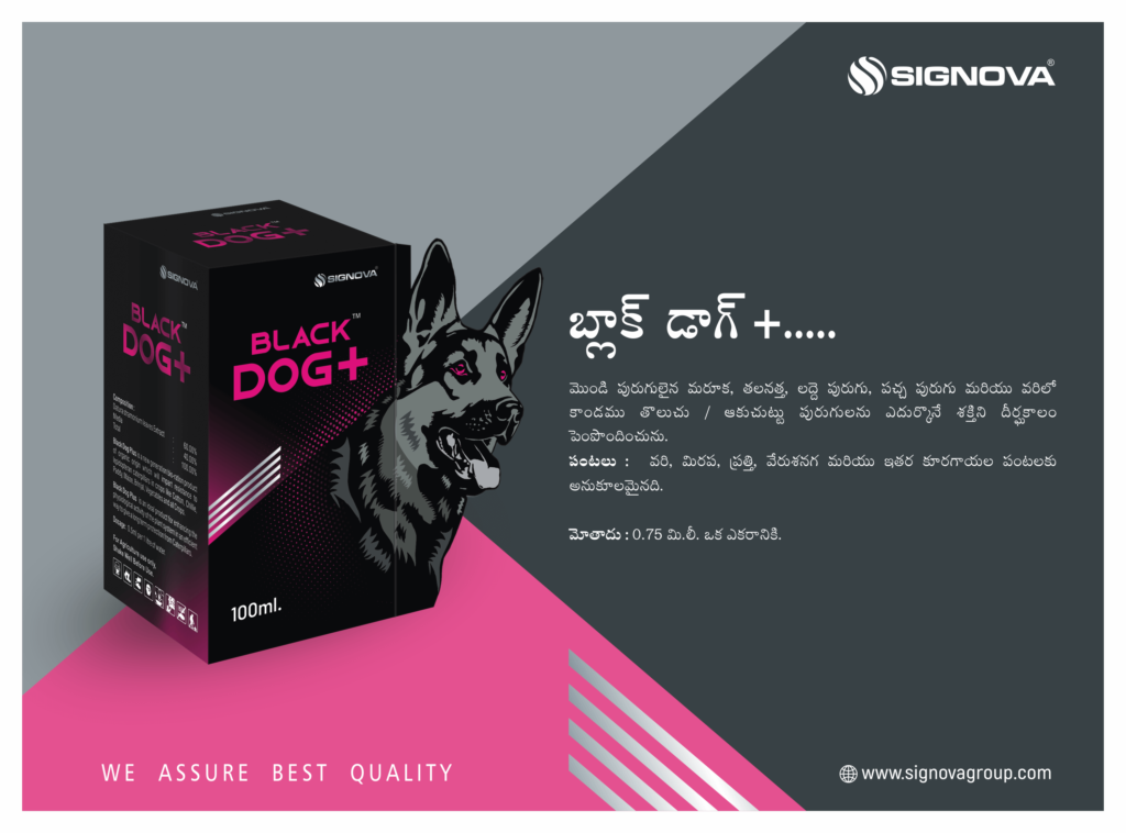 Best Micronutrients Company in India - Signova